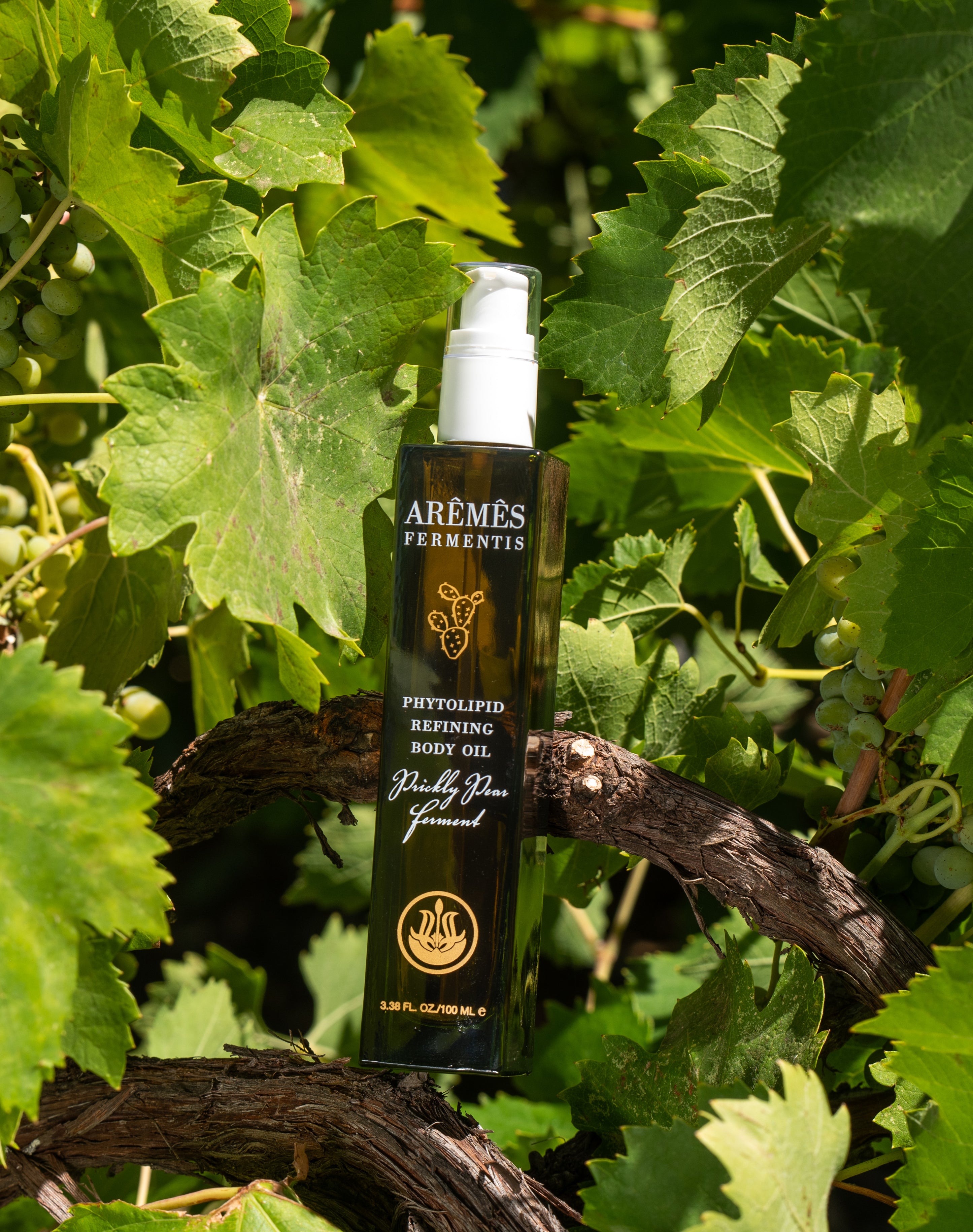 PhytoLipid Refining Body Oil™ – Arémés Fermentis
